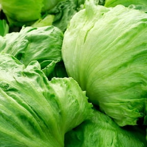 Lettuce Seeds in Seed Gardening - Walmart.com