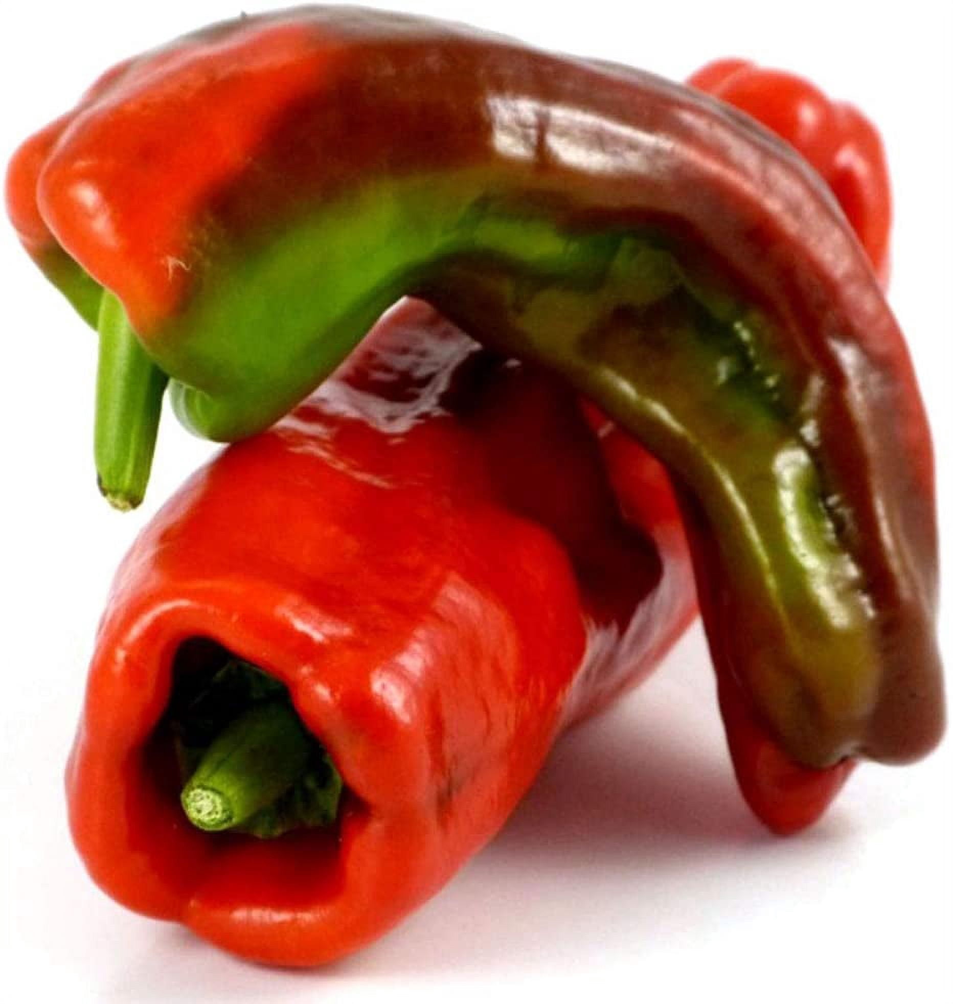 Cristal Basque Region Spanish Tapas Heirloom Pepper Premium Seeds ...