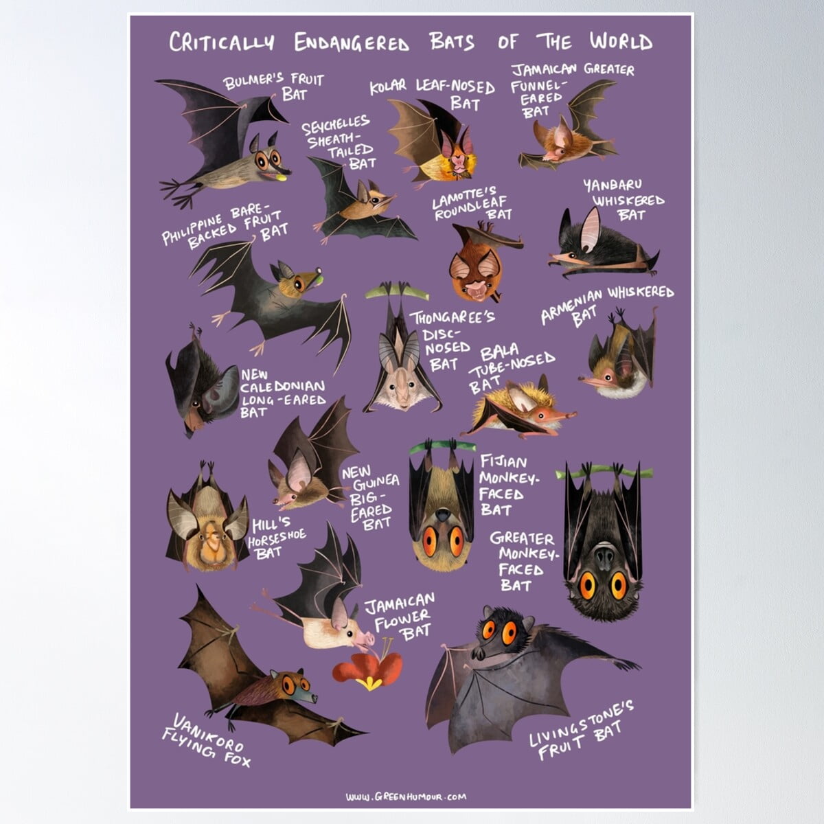 Critically Endangered Bats Of The World Poster Wall Art, Modern Wall ...