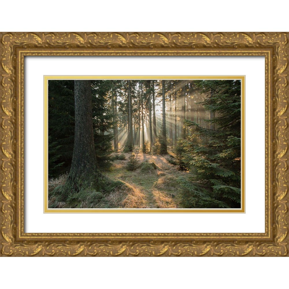 Croce, Vincent 24x17 Gold Ornate Wood Framed with Double Matting Museum Art Print Titled - Rays ...