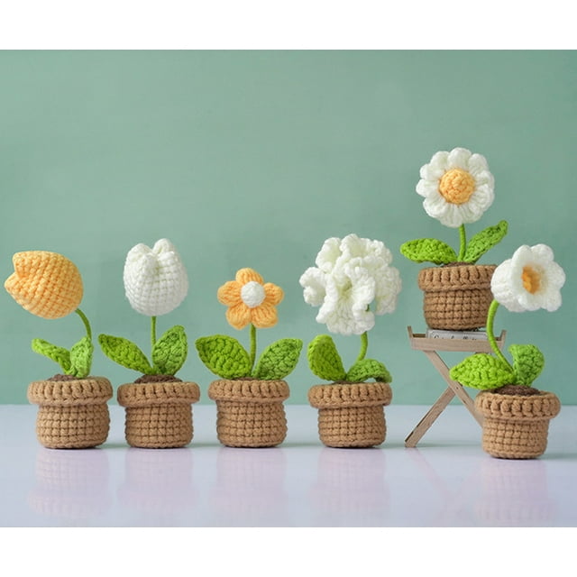 Crochet Kit,6 pcs Potted Flowers Crochet Kit for Beginners and Experts ...