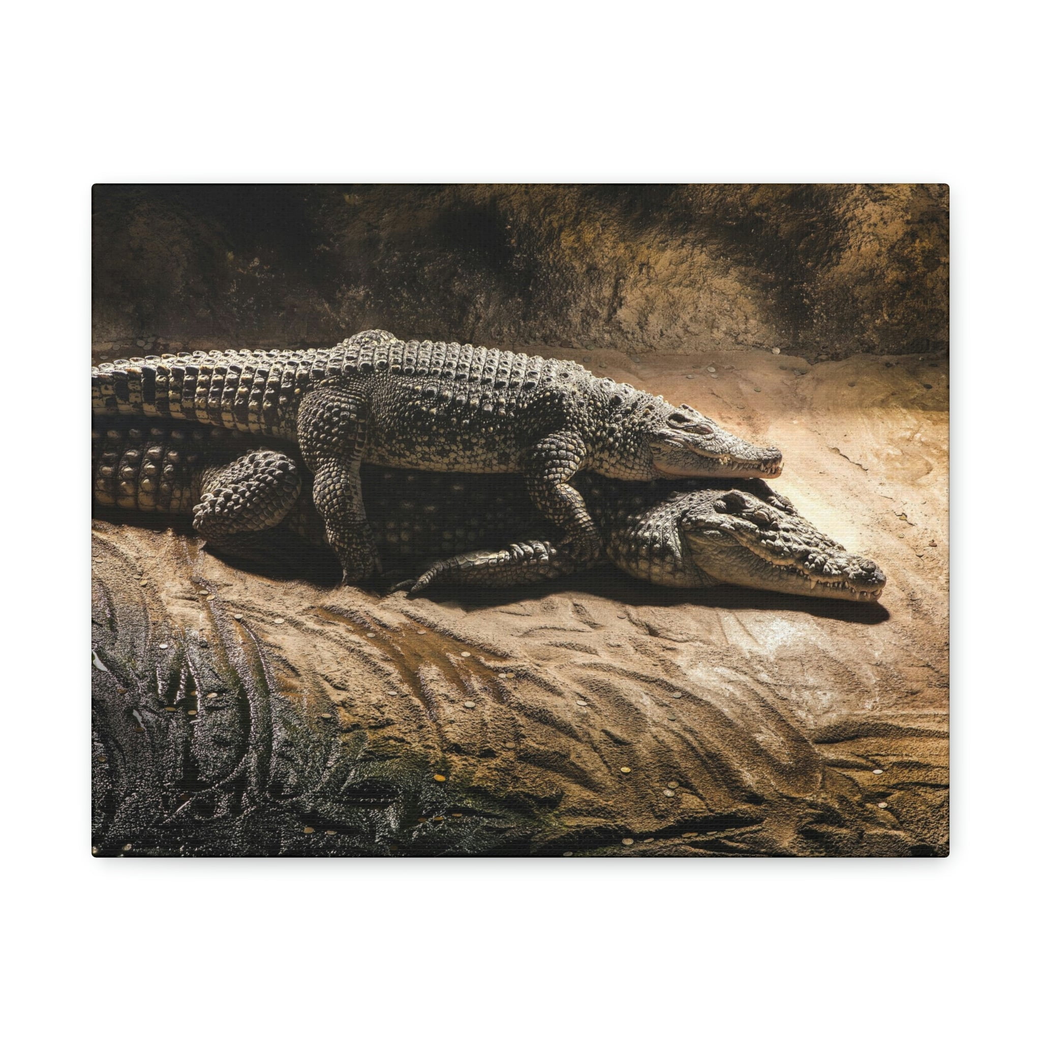 Crocodile Couple Crocodile Troop Print Animal Wall Art Wildlife Canvas Prints Wall Art Ready to ...