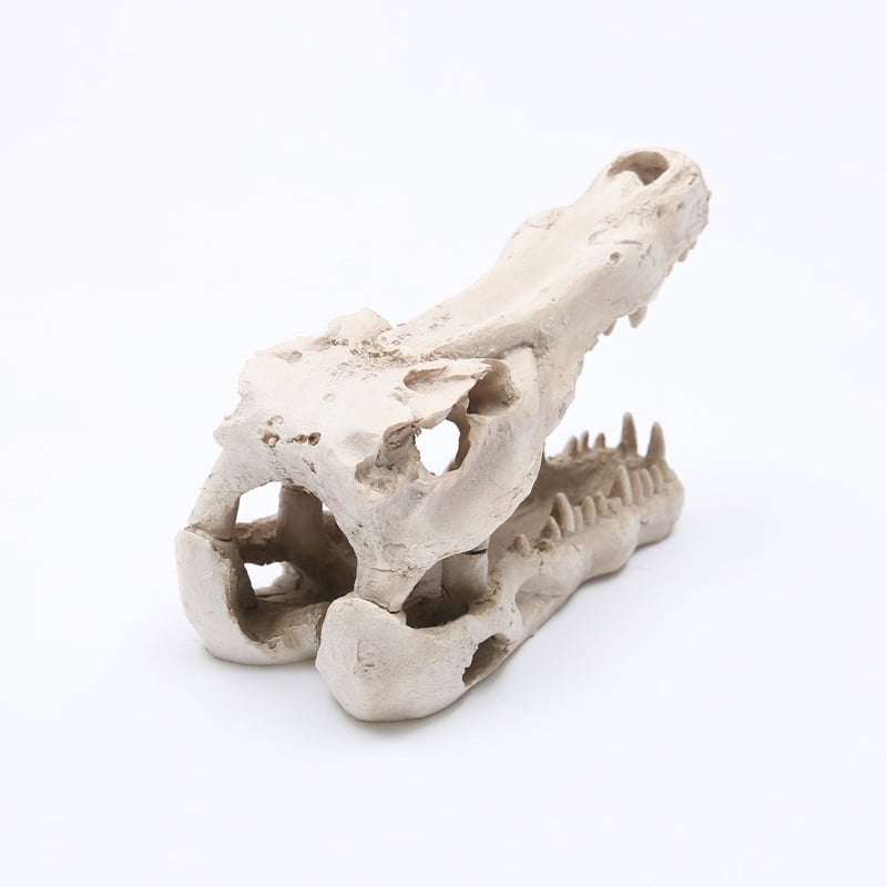 Crocodile Skull Animal Resin Ornament, Realistic Crocodile Skull Head ...