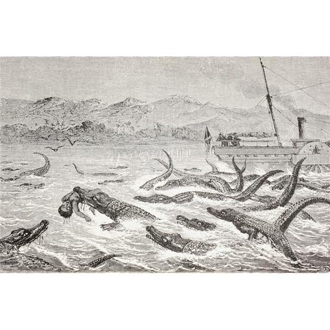 Crocodiles Take A Man In The Nile River In The Late 19th Century From ...