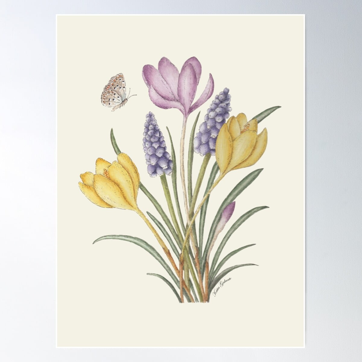 Crocus And Muscari Poster Wall Art, Modern Wall Decor For Living Room ...