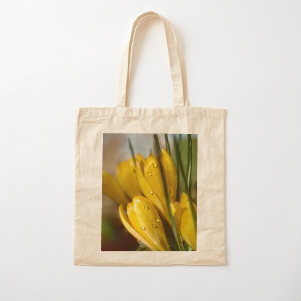 Crocus Flowers, Spring Flowers, Yellow Flowers, Crocuses, Raindrops On ...