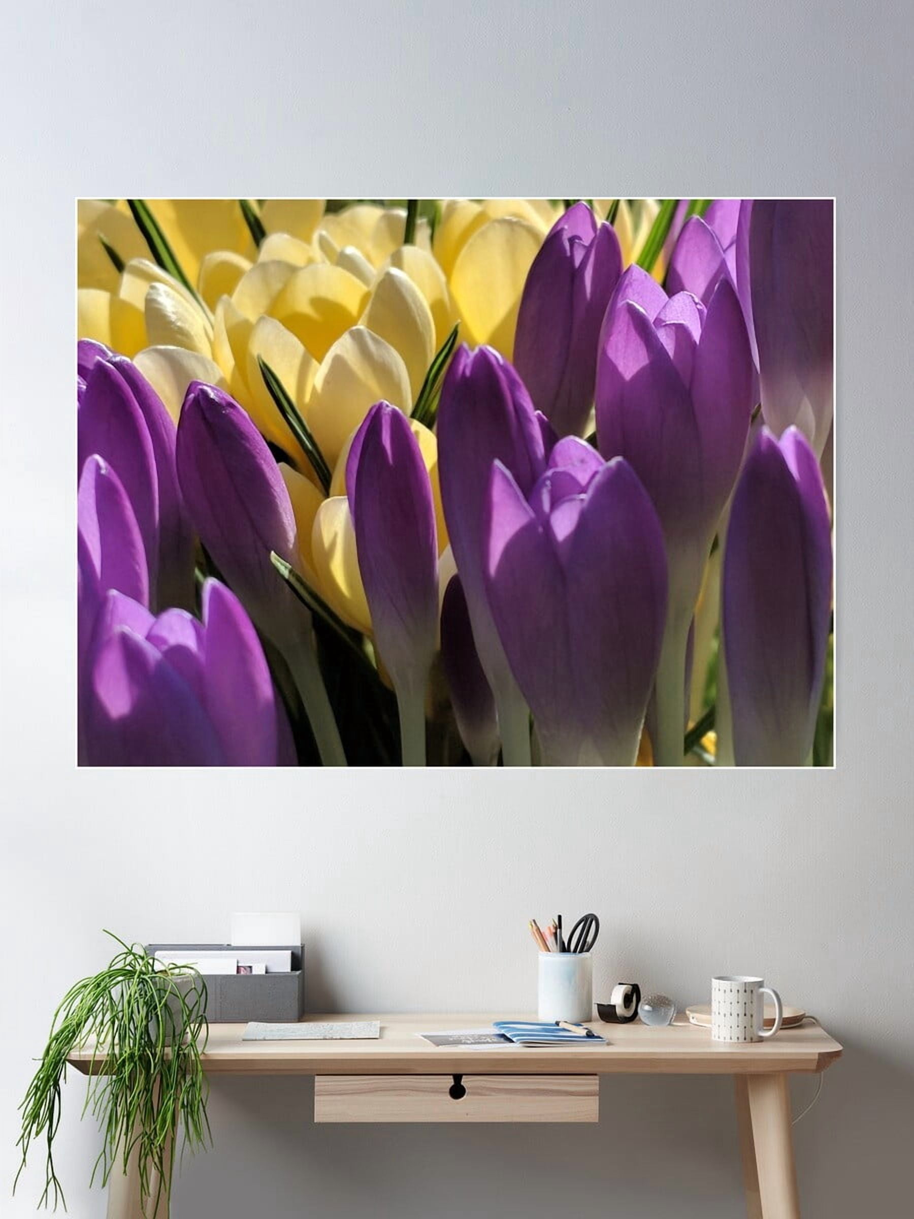 Crocuses In My Garden Poster Wall Art Modern Wall Decor For Living Room ...