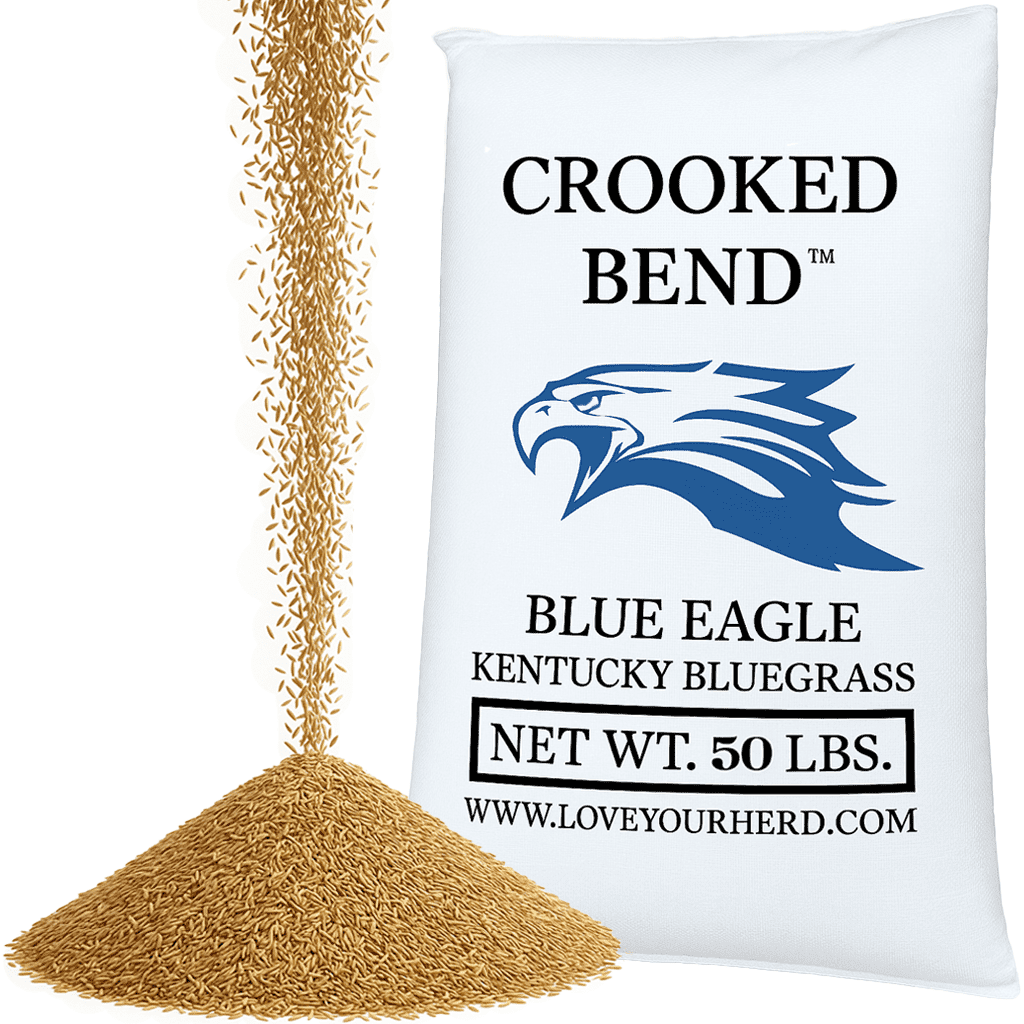 Crooked Bend Blue Eagle Kentucky Bluegrass Seed, 50LB Bulk Bag ...
