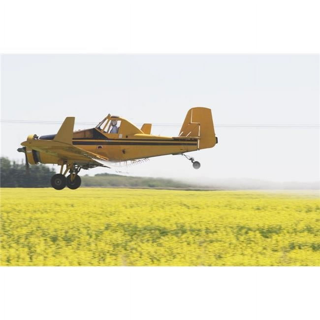 Crop Duster Spraying Flowering Canola Field Poster Print - Walmart.com