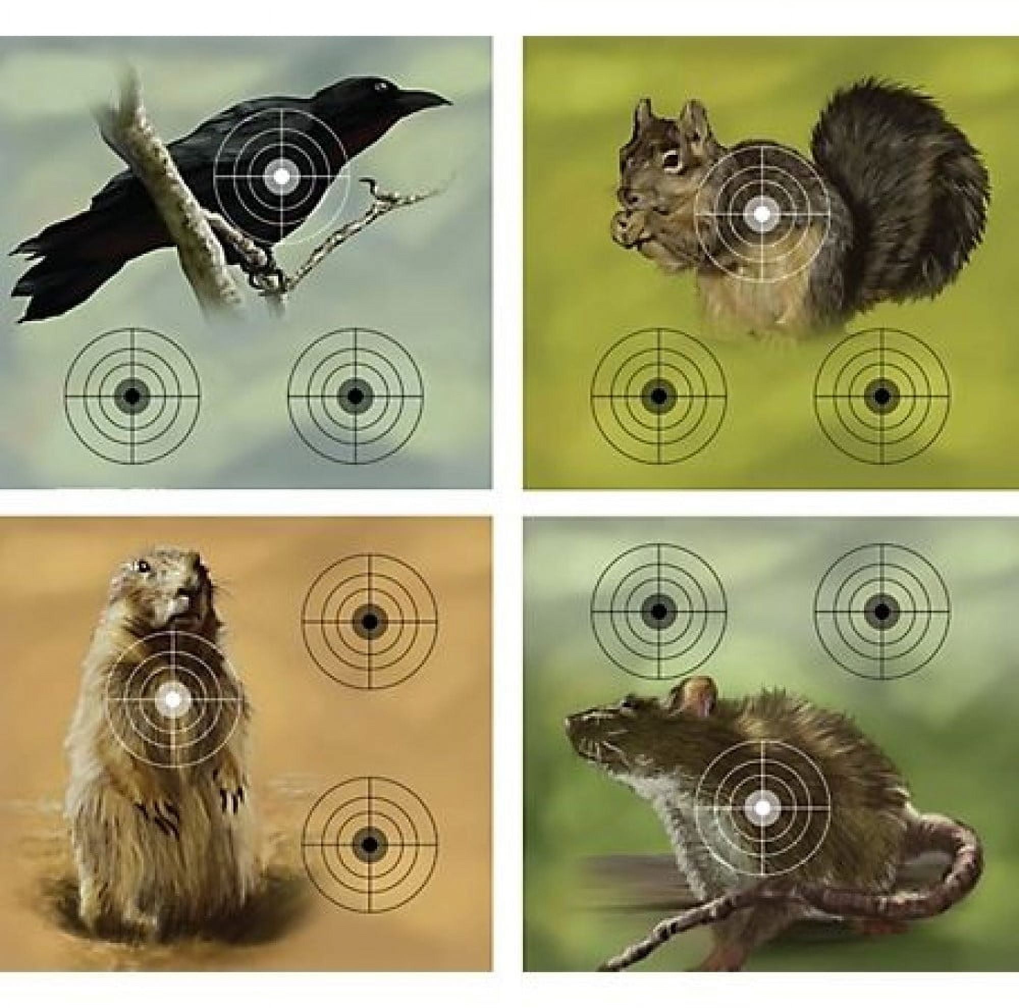 Crosman 496 Varmint Paper Shooting Targets 20-Pack, 9.75" x 9" Full ...