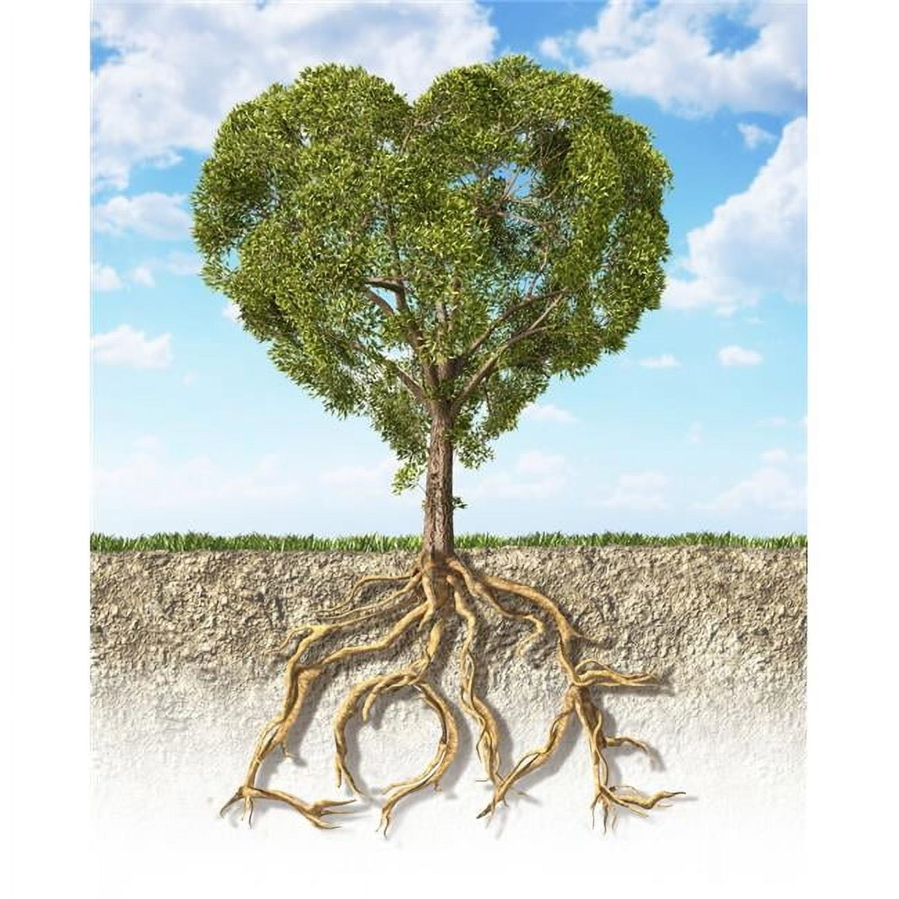Cross section of soil showing a heart-shaped tree with its roots as ...