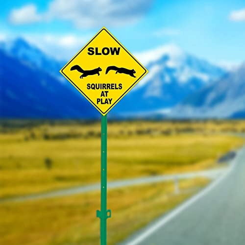 Crossing Zone Warning Sign Slow Squirrels at Play Caution Sign Aluminum ...