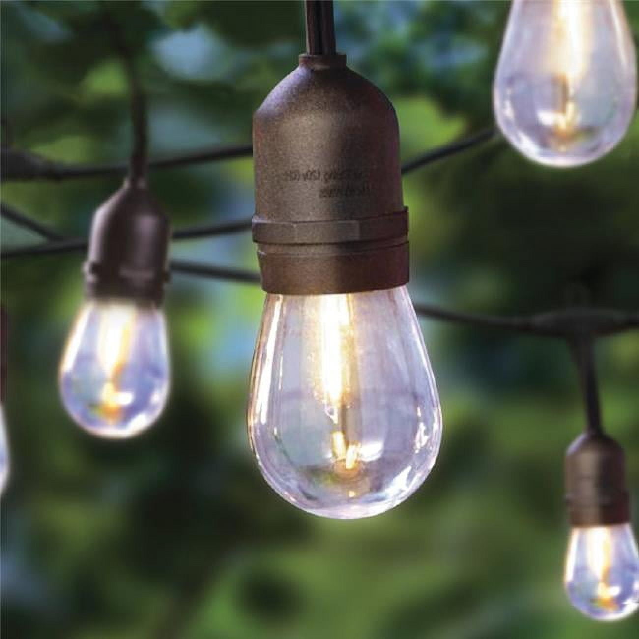Crosslight IDD193063BM Classic Bulb LED String Lights, Warm White ...