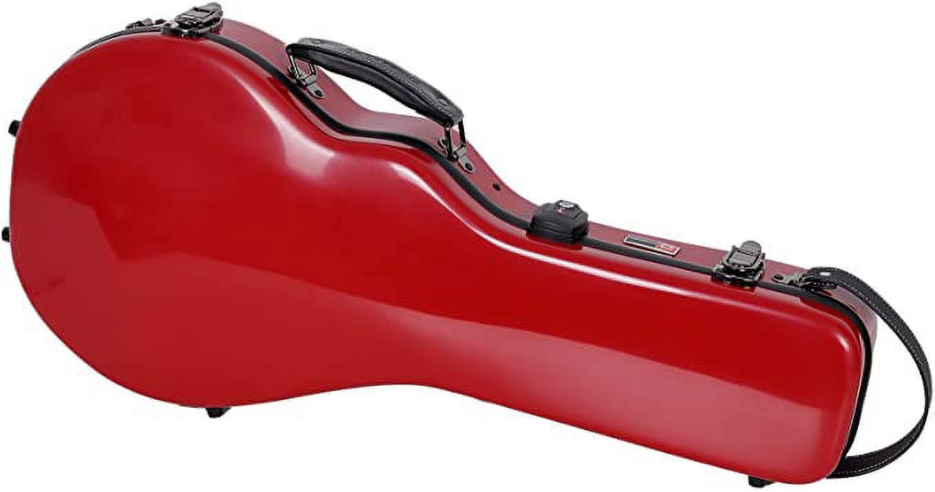 Sitar Case, Double Toomba, Padded Nylon - Walmart.com