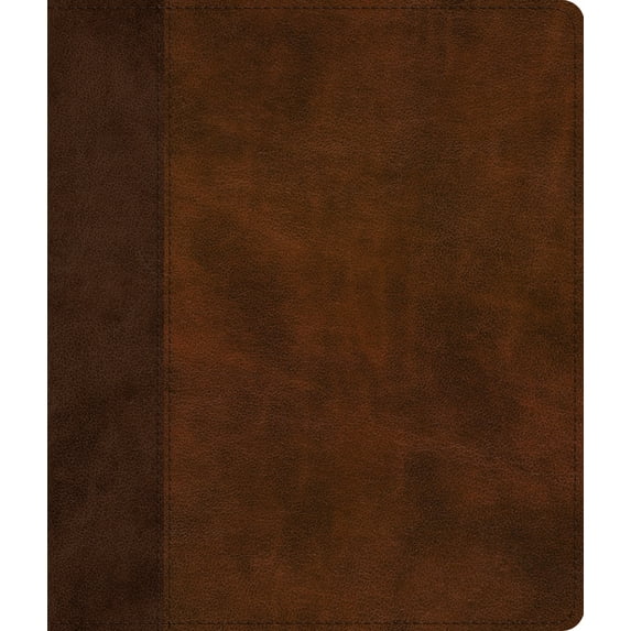 Crossway: ESV Journaling Bible, Book 1 (Trutone, Brown/Tan) - Walmart.com