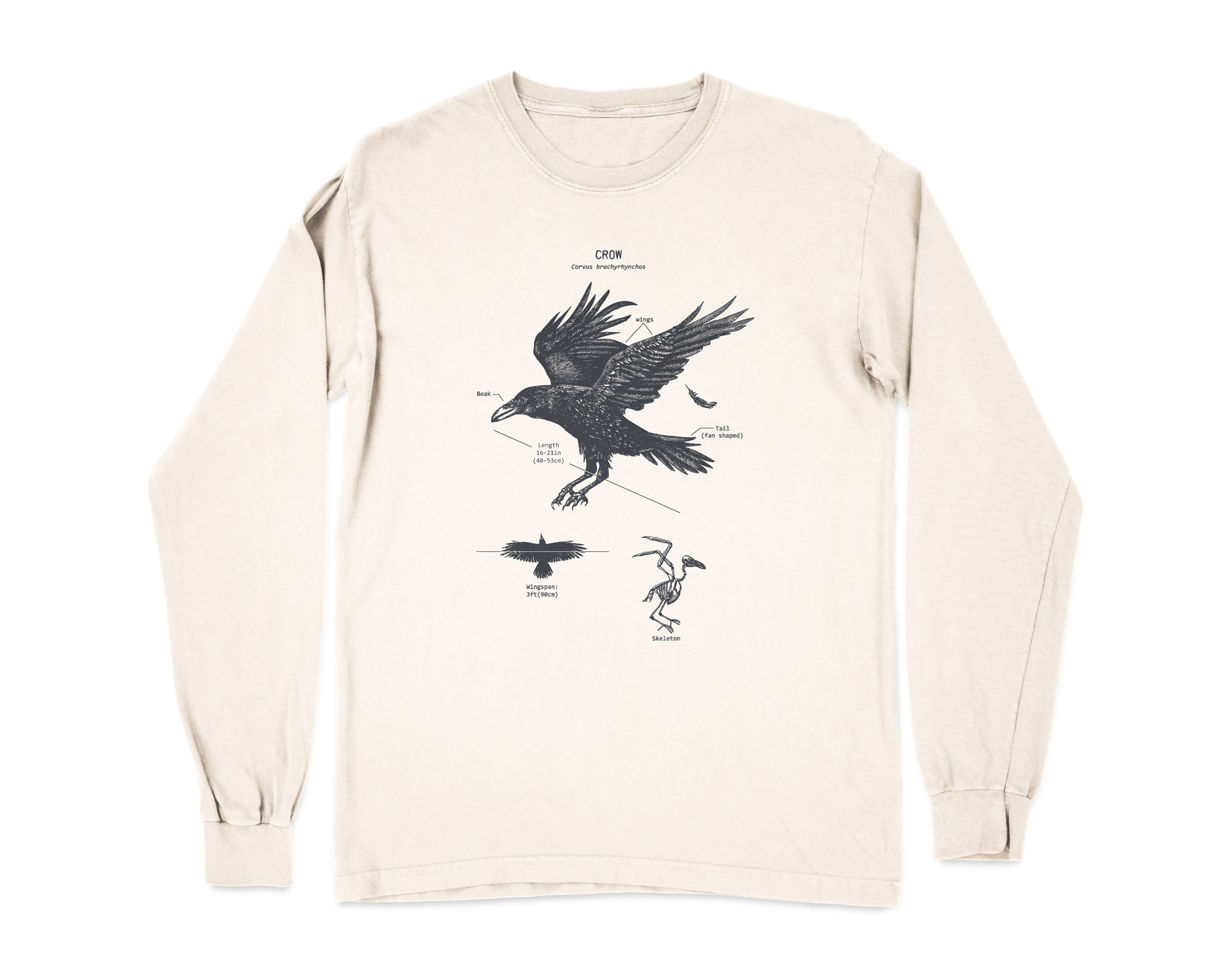 Crow Anatomy Long Sleeve, Corvus Brachyrhynchos Shirt, Crow Gift, Original Crow Crewneck ...