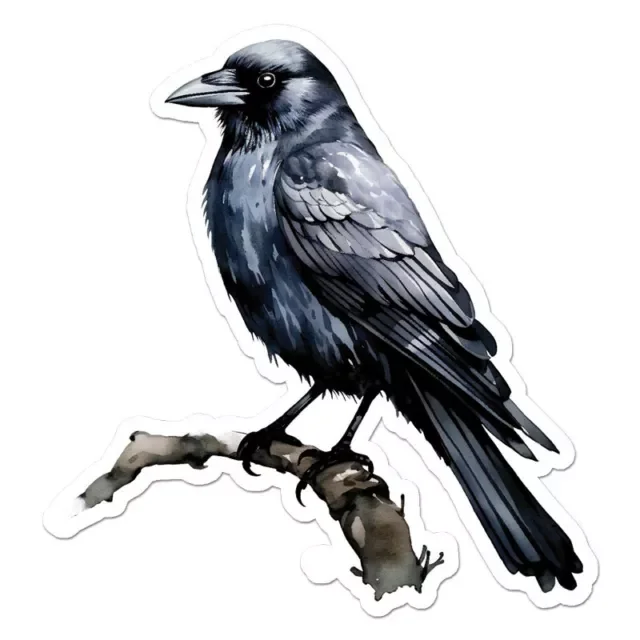 Crow Blackbird Raven Sticker Indoor Outdoor Phone Decal Water Bottle ...