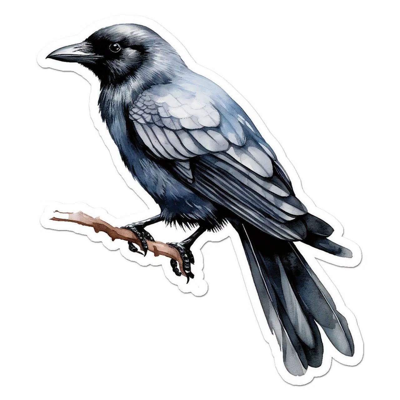 Crow Blackbird Raven Sticker Phone Decal Water Bottle Stickers Car ...