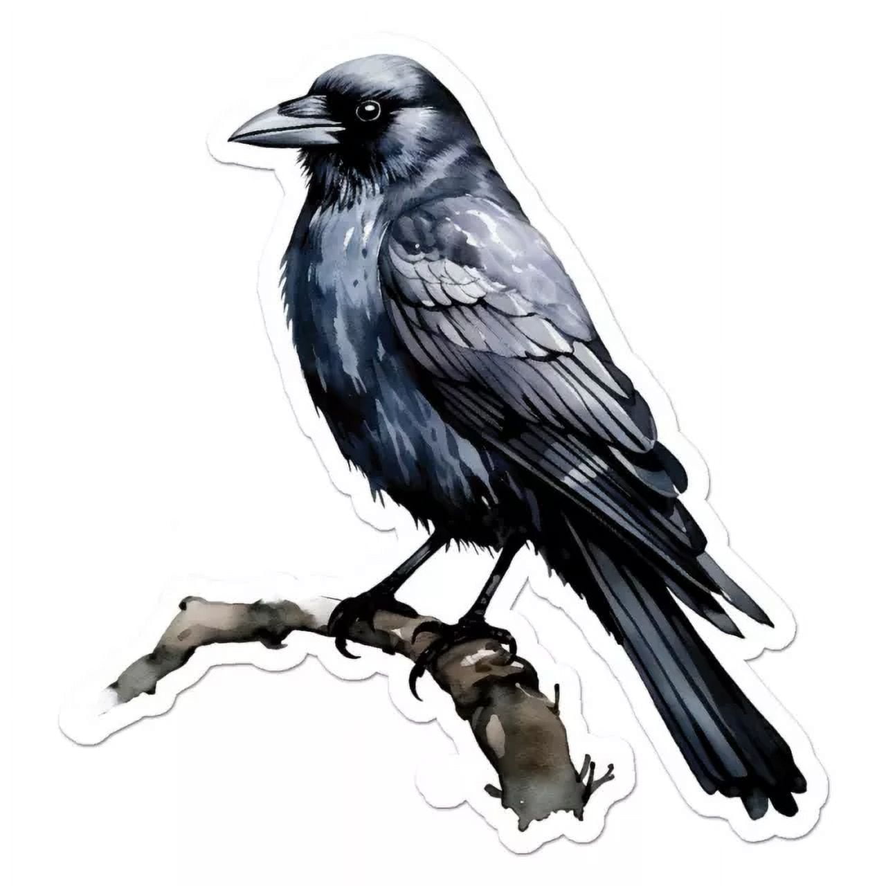 Crow Blackbird Raven Sticker Phone Decal Water Bottle Stickers Car ...