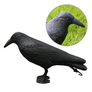 Navaris Crow Decoy - Fake Black Crow Decoy for Attracting Crows ...