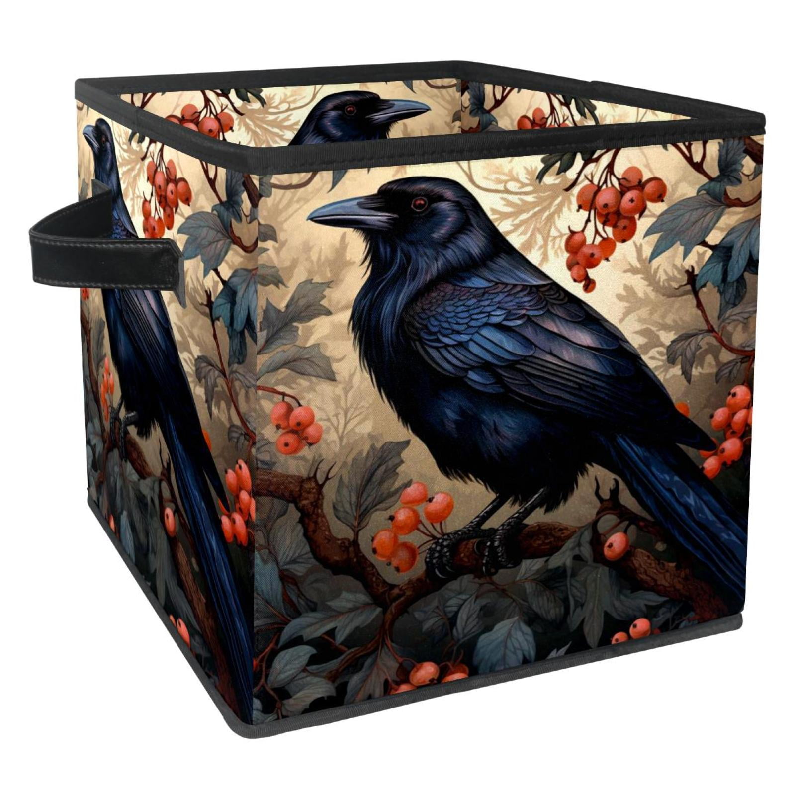 Crow Foldable Storage Cubes Organizer Bins with Handle, 10.8"x10.5"x10 ...