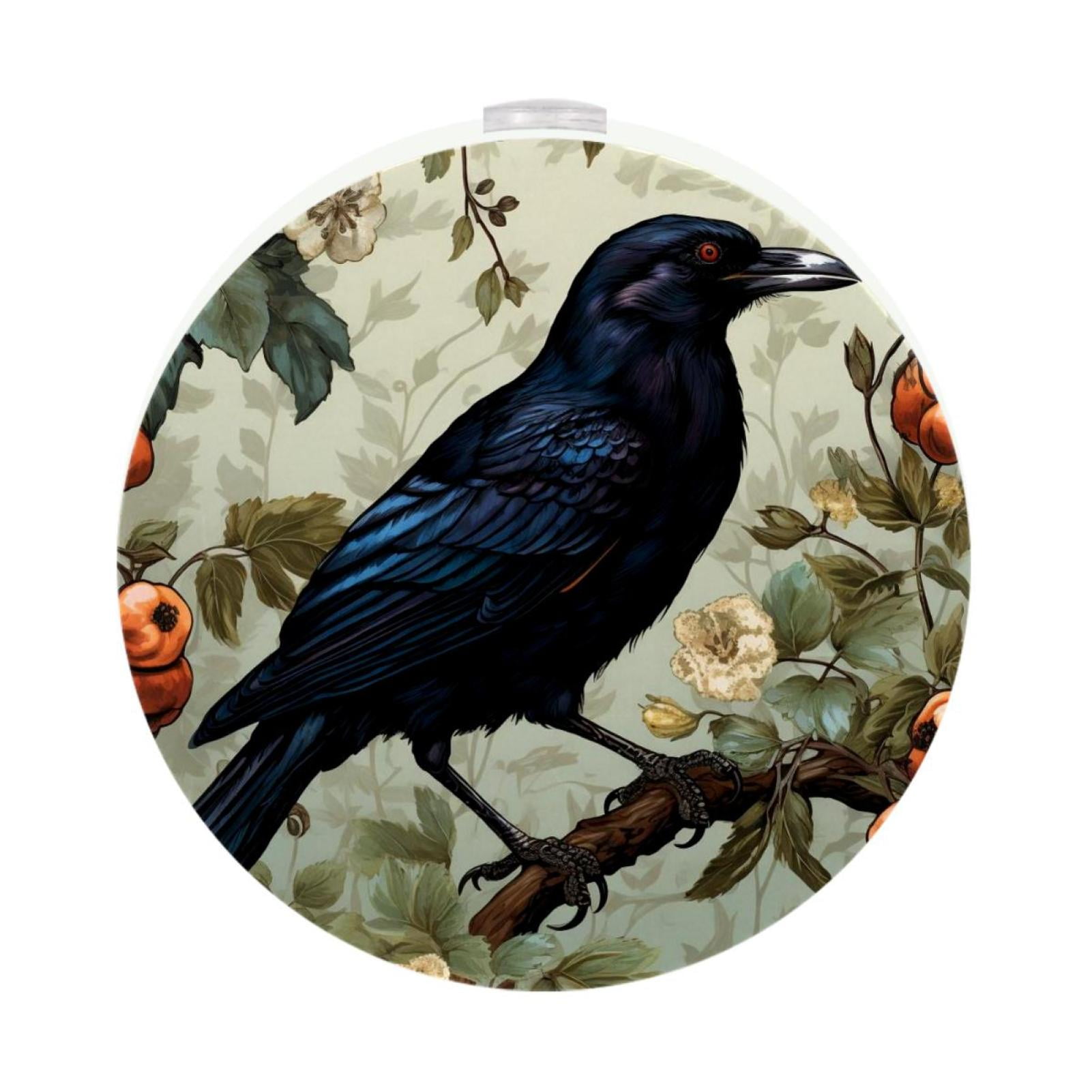 Crow LED Round Night Light - 2 Pack, Plug-in Motion Sensor Wall Lamp ...