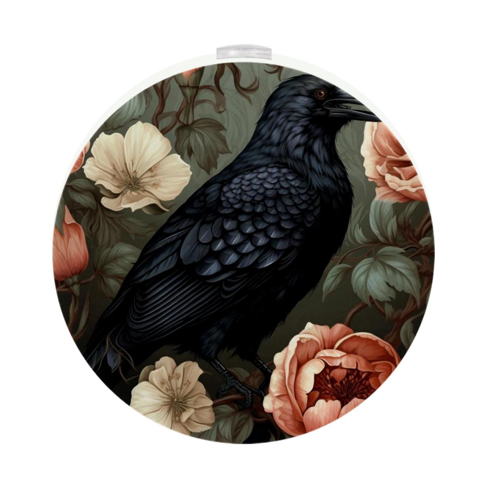 Crow LED Round Night Light-2PCS, Dimmable Mini Plug-in Wall Lamp with ...