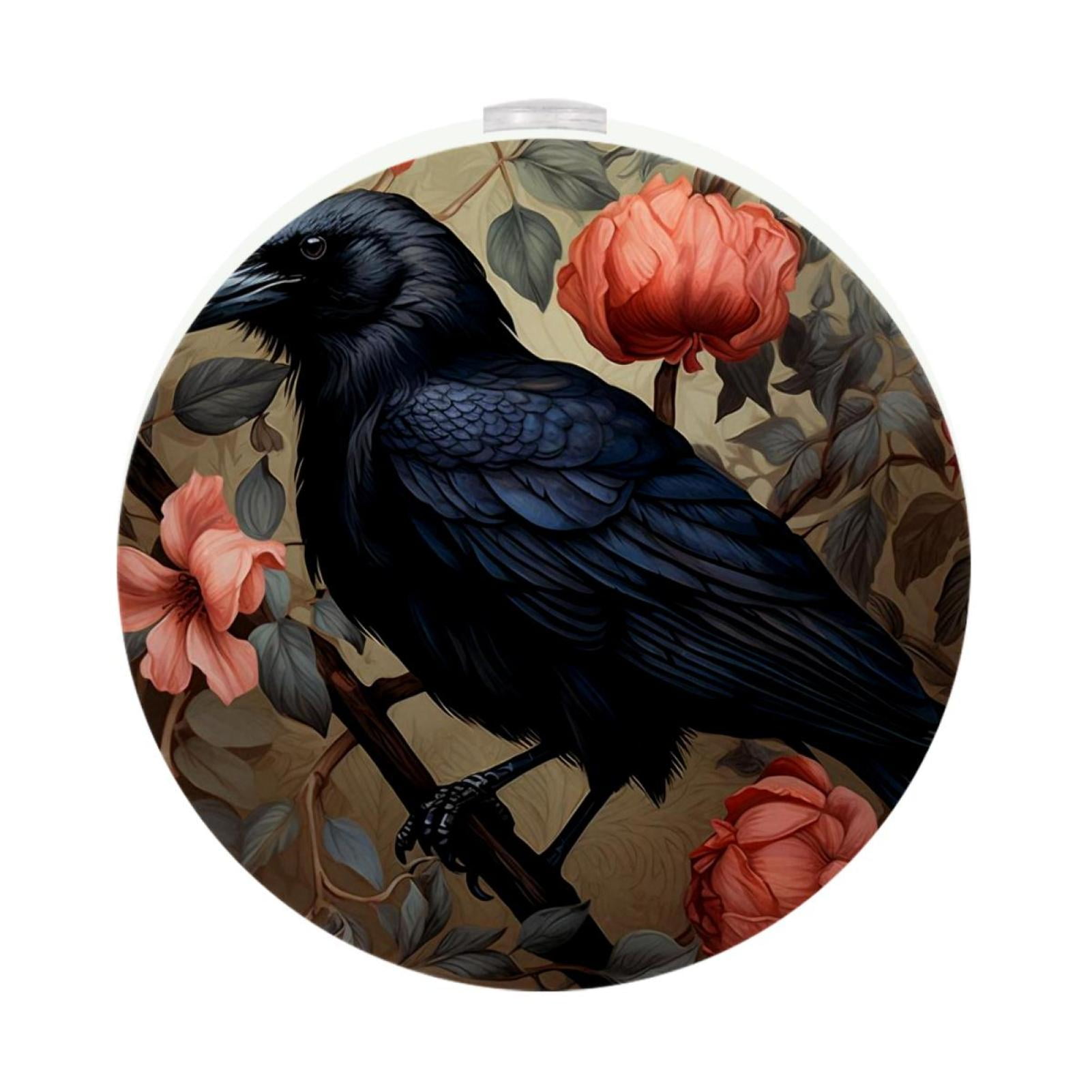 Crow LED Round Night Light-2PCS, Dimmable Plug-in Wall Lamp with Dusk ...