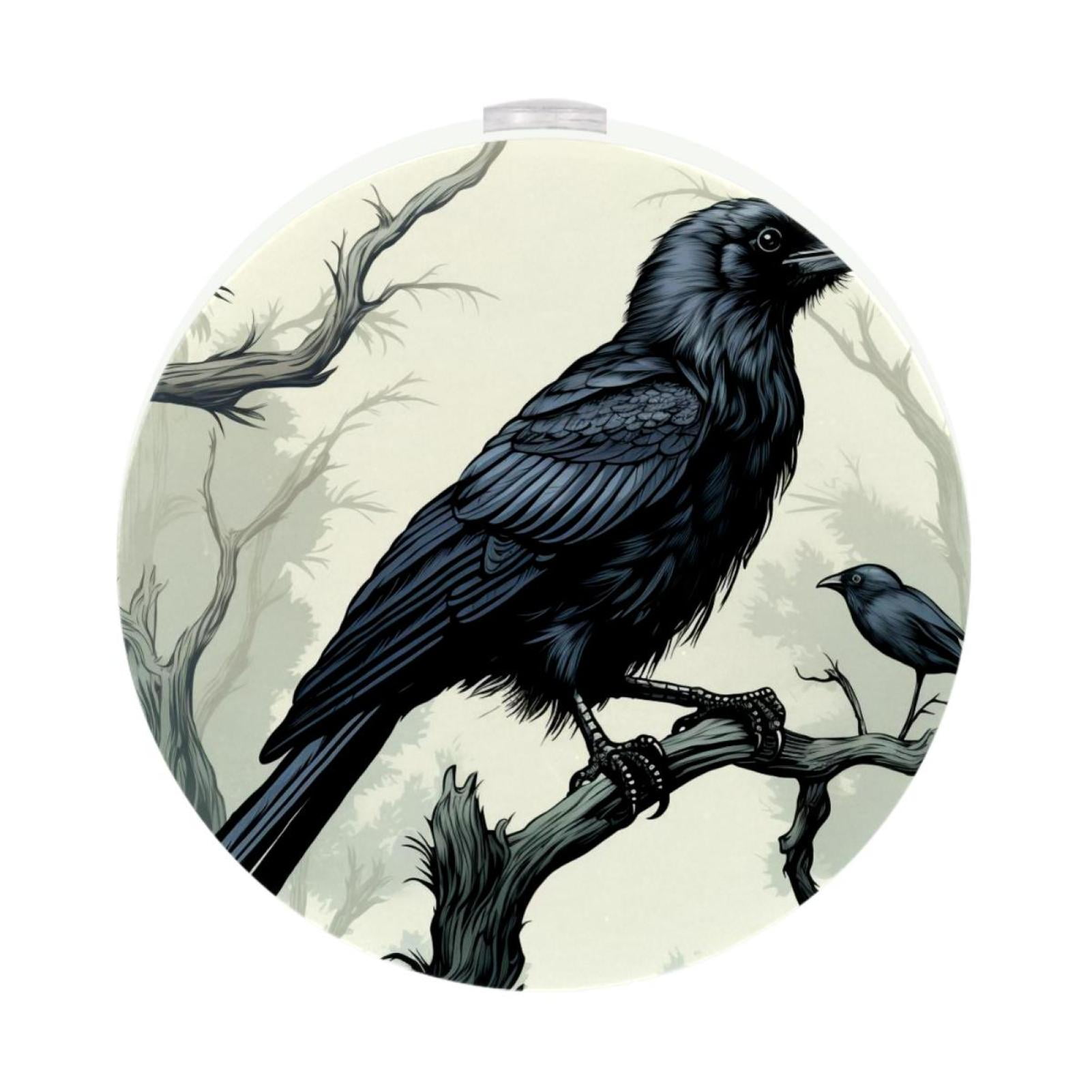 Crow LED Round Night Light - 2PCS, Energy Efficient Plug-in Wall Lamp ...
