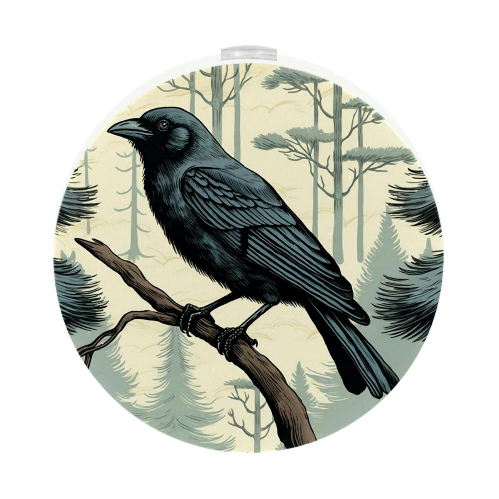 Crow LED Round Night Light-2PCS, Plug-in Mini Wall Socket Soft White ...