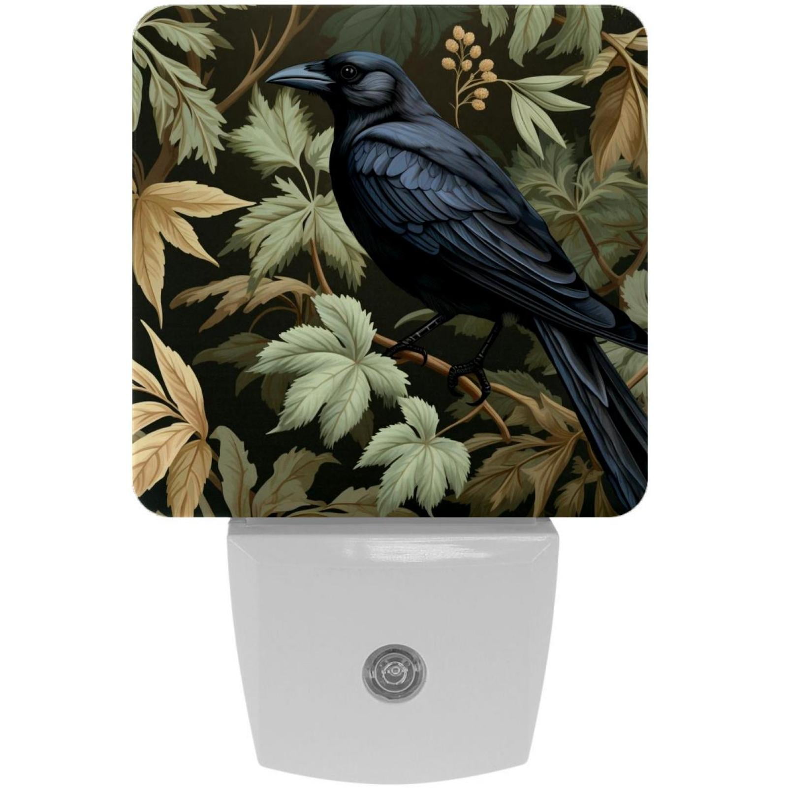 Crow LED Square Night Light - Compact and Energy Efficient Illumination ...