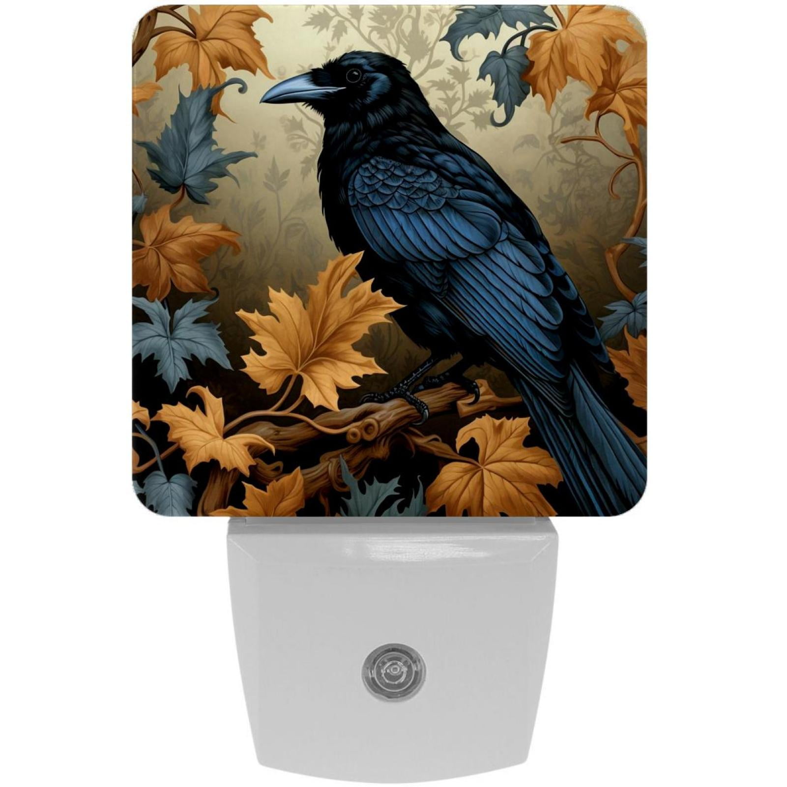 Crow LED Square Night Light - Compact and Energy Efficient Illumination ...