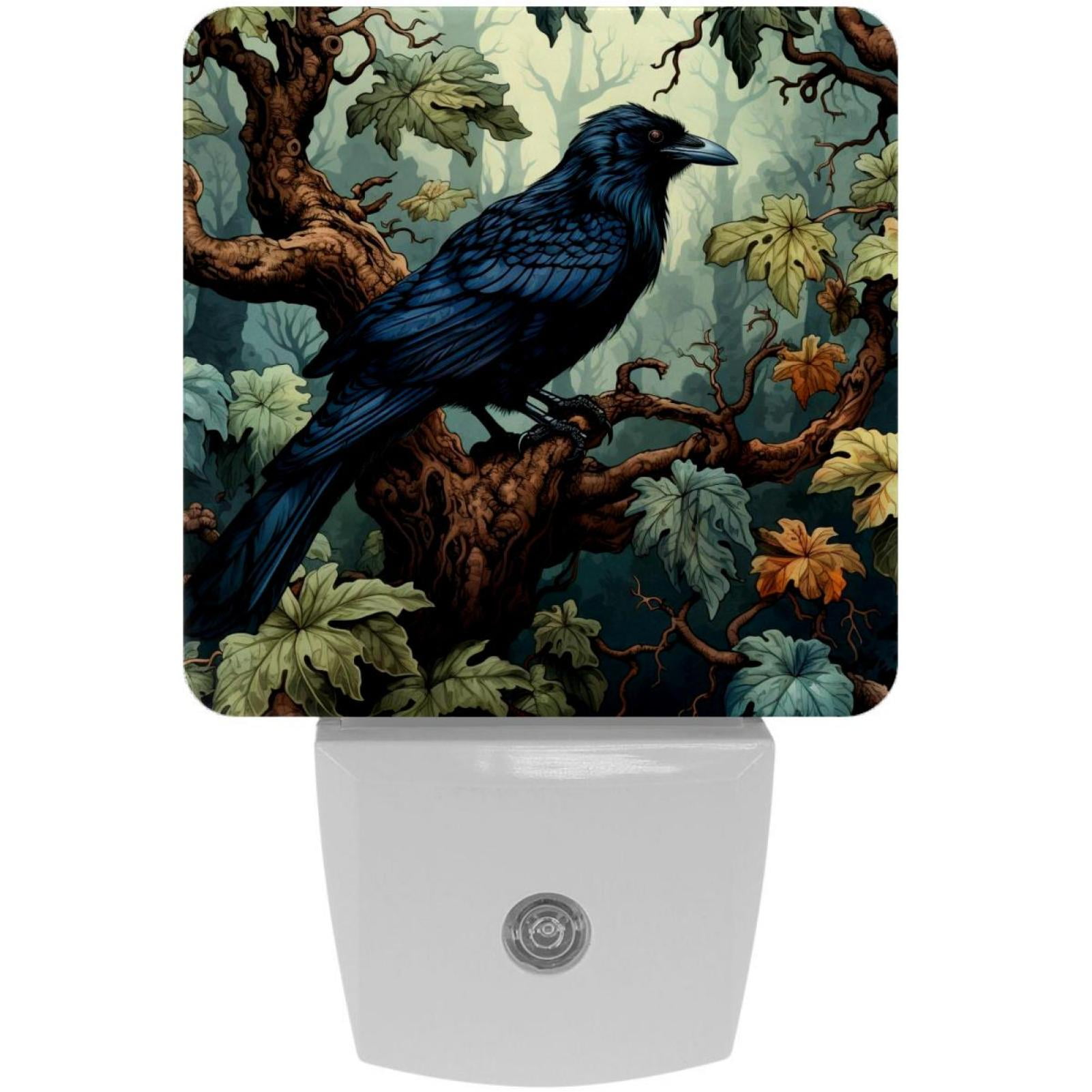 Crow LED Square Night Light - Energy Efficient and Stylish Illumination ...