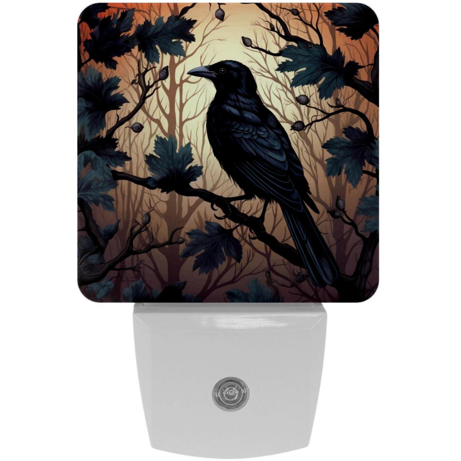 Crow LED Square Night Light for Bedroom and Bathroom - Energy Efficient ...