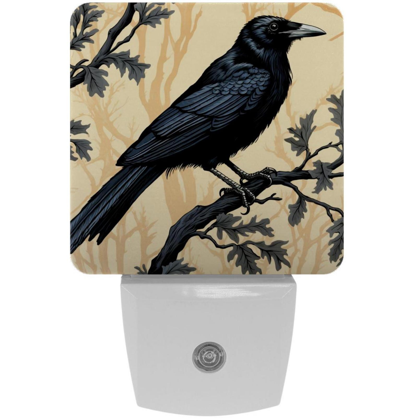 Crow LED Square Night Lights - Bright, Energy-Efficient Luminaires for ...