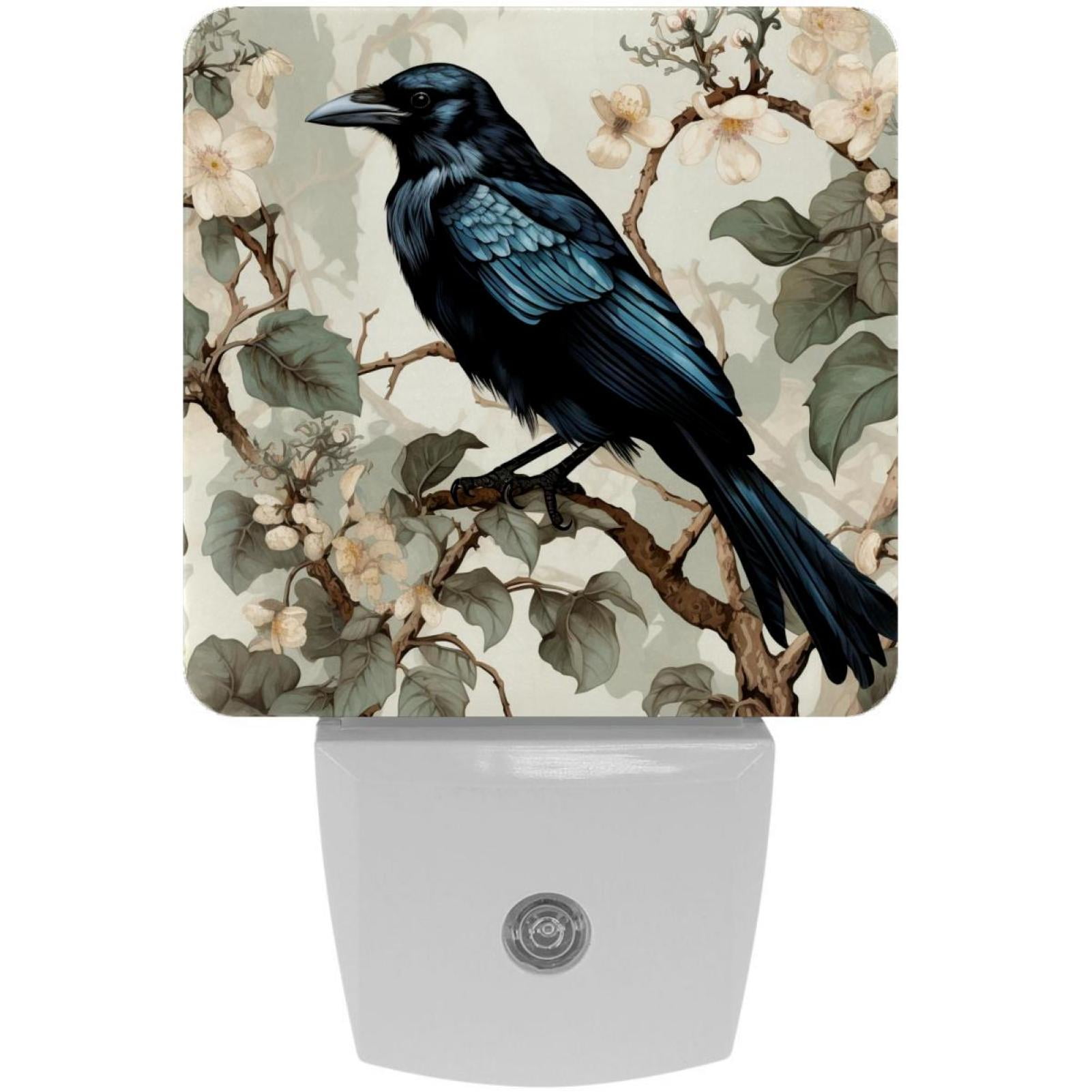 Crow LED Square Night Lights: Compact and Energy-Efficient Illumination ...