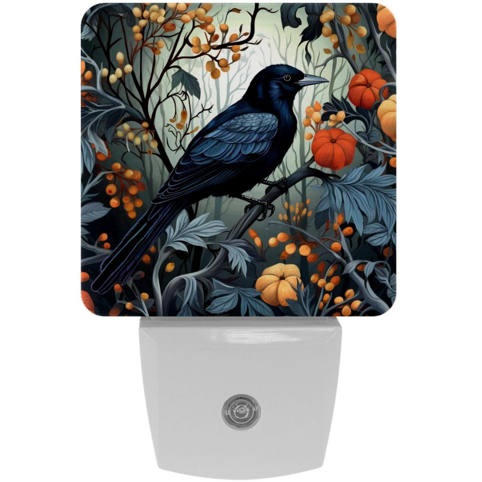 Crow LED Square Night Lights: Compact and Energy-Efficient Illumination ...