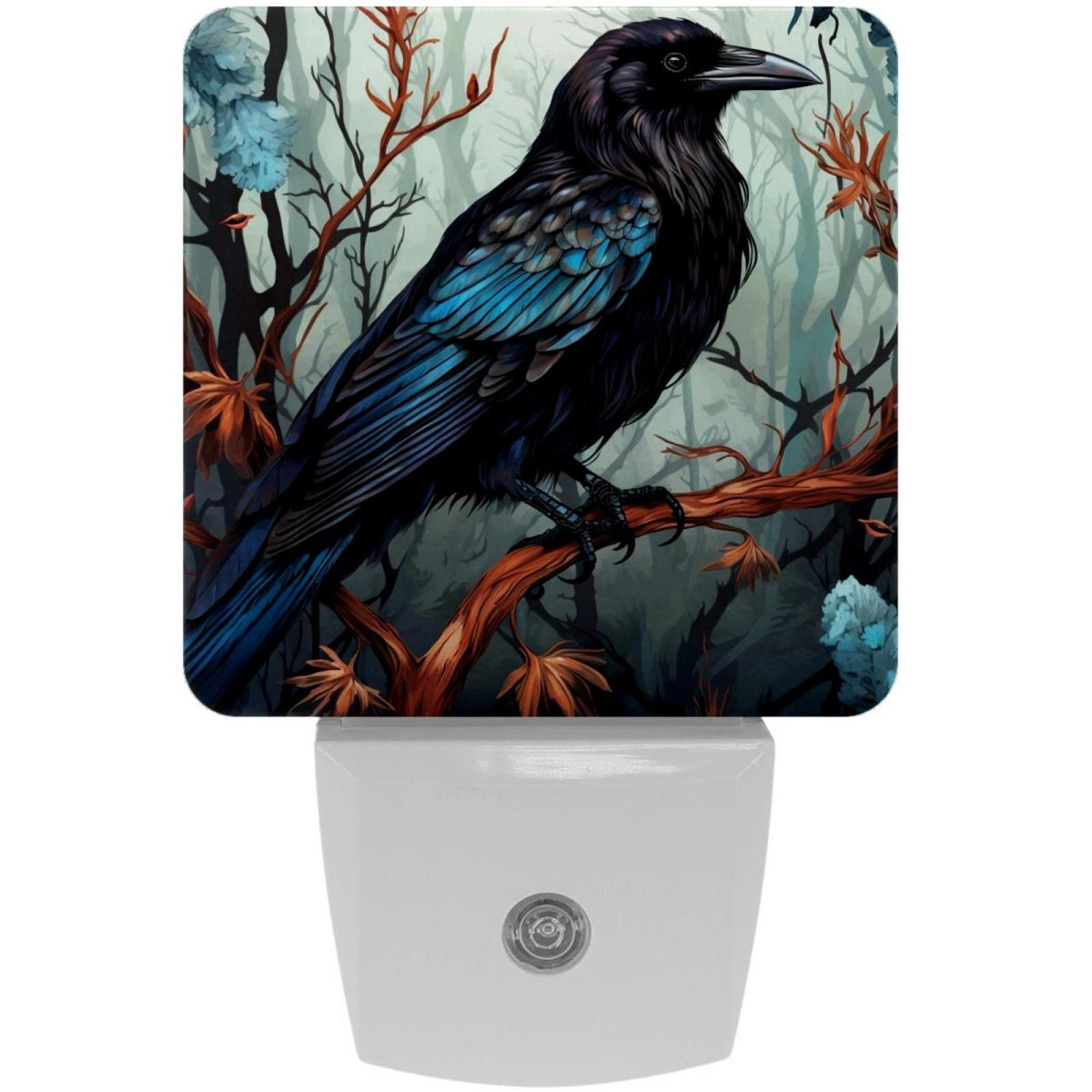 Crow LED Square Night Lights: Compact and Energy-Efficient Illumination ...