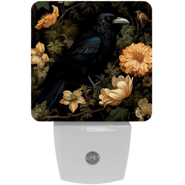 Crow LED Square Night Lights - Compact and Multifunctional Illumination ...