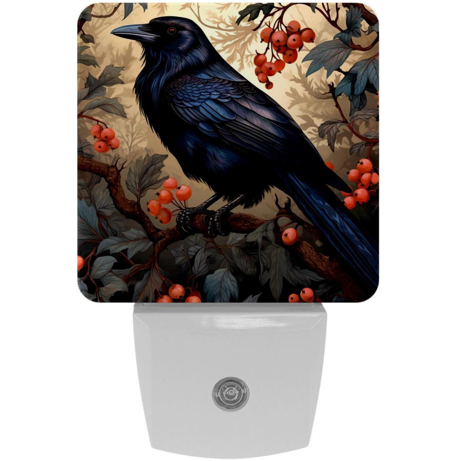 Crow LED Square Night Lights - Compact and Multifunctional Illumination ...
