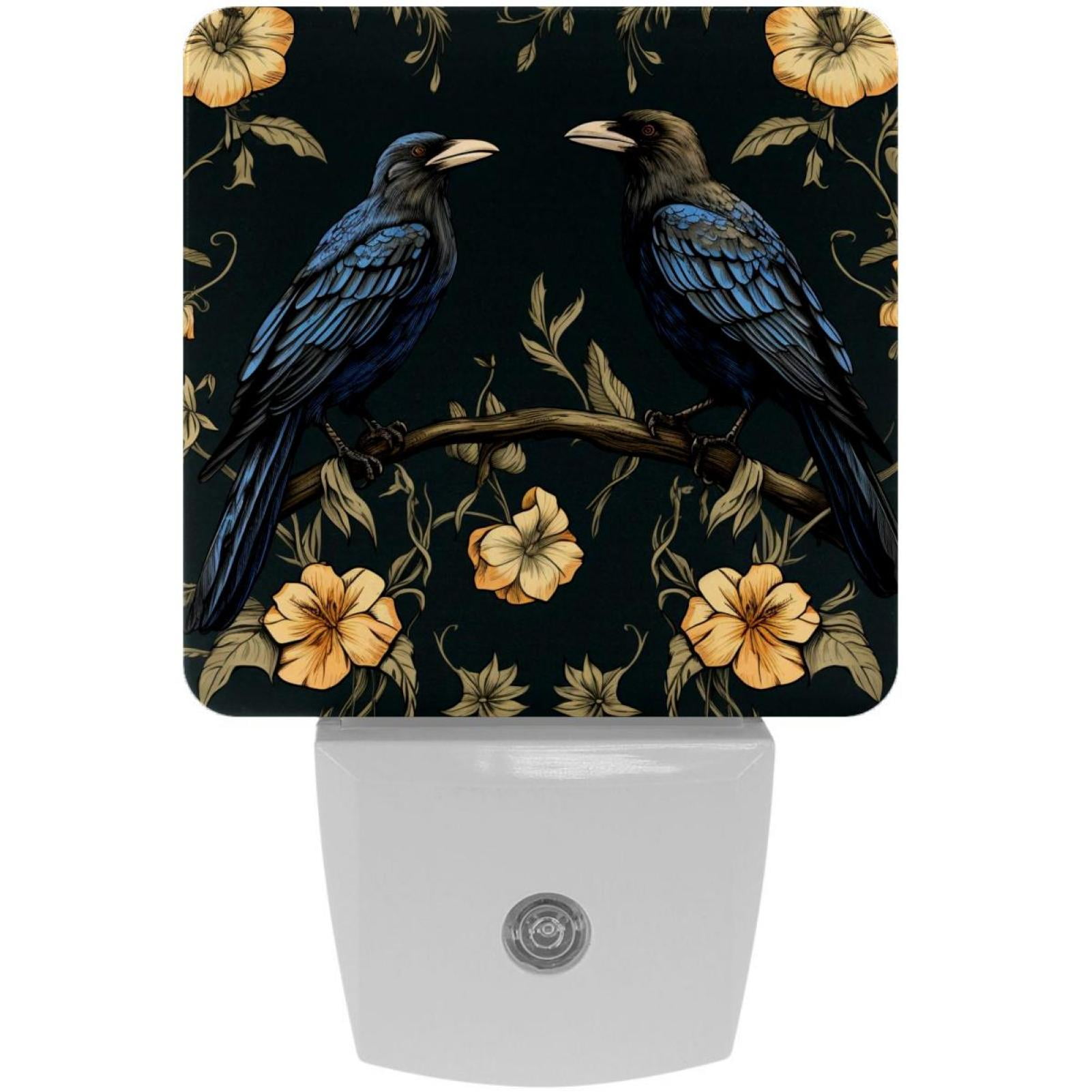 Crow LED Square Night Lights - Elegant and Energy Efficient Lighting ...