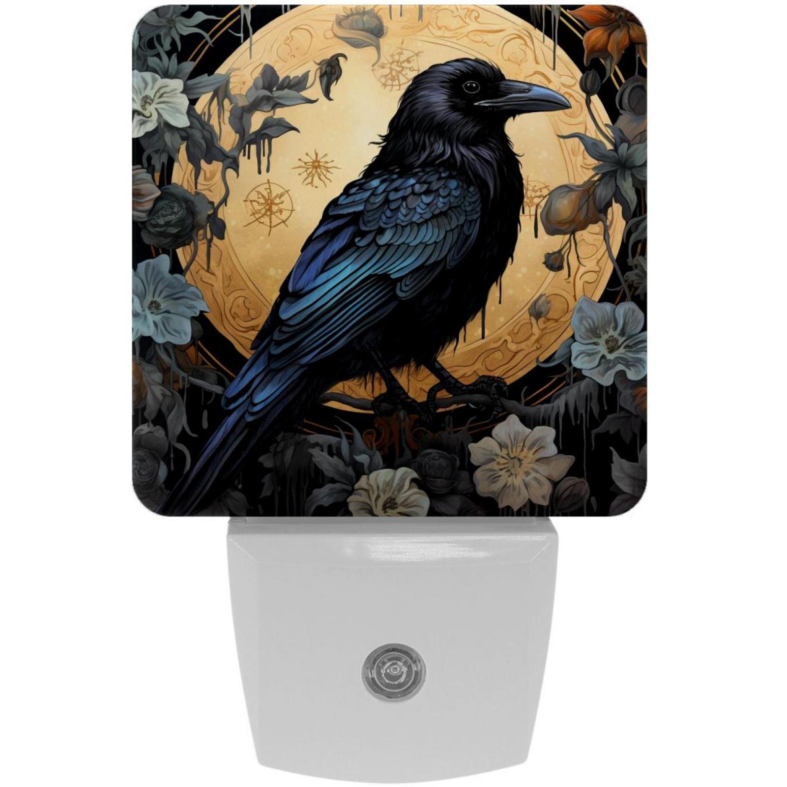 Crow LED Square Night Lights - Elegant and Energy Efficient Lighting ...