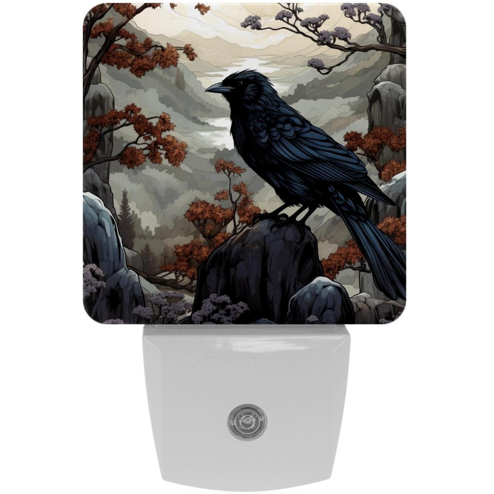 Crow LED Square Night Lights - Elegant and Energy Efficient Lighting ...