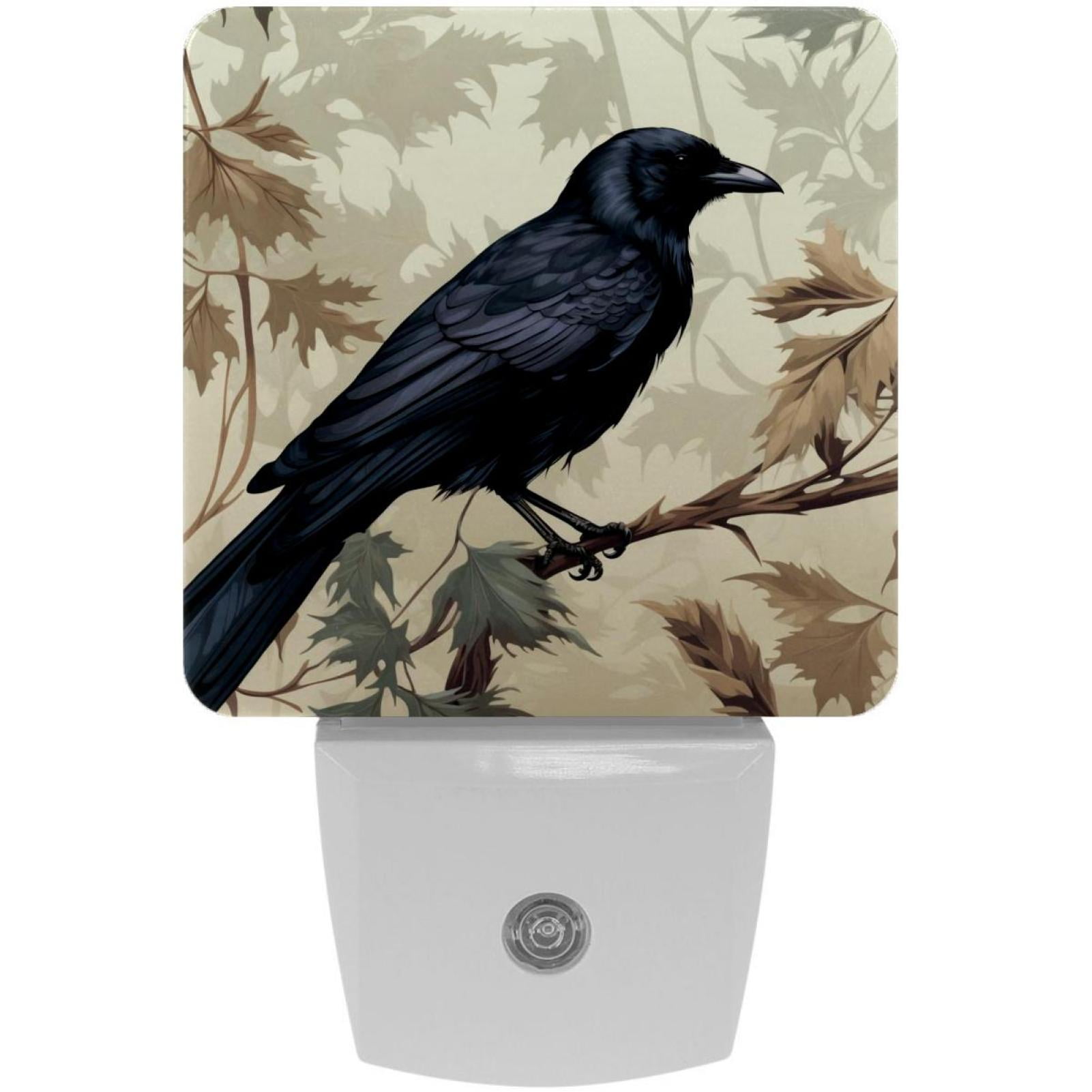 Crow LED Square Night Lights - Elegant and Energy Efficient Lighting ...
