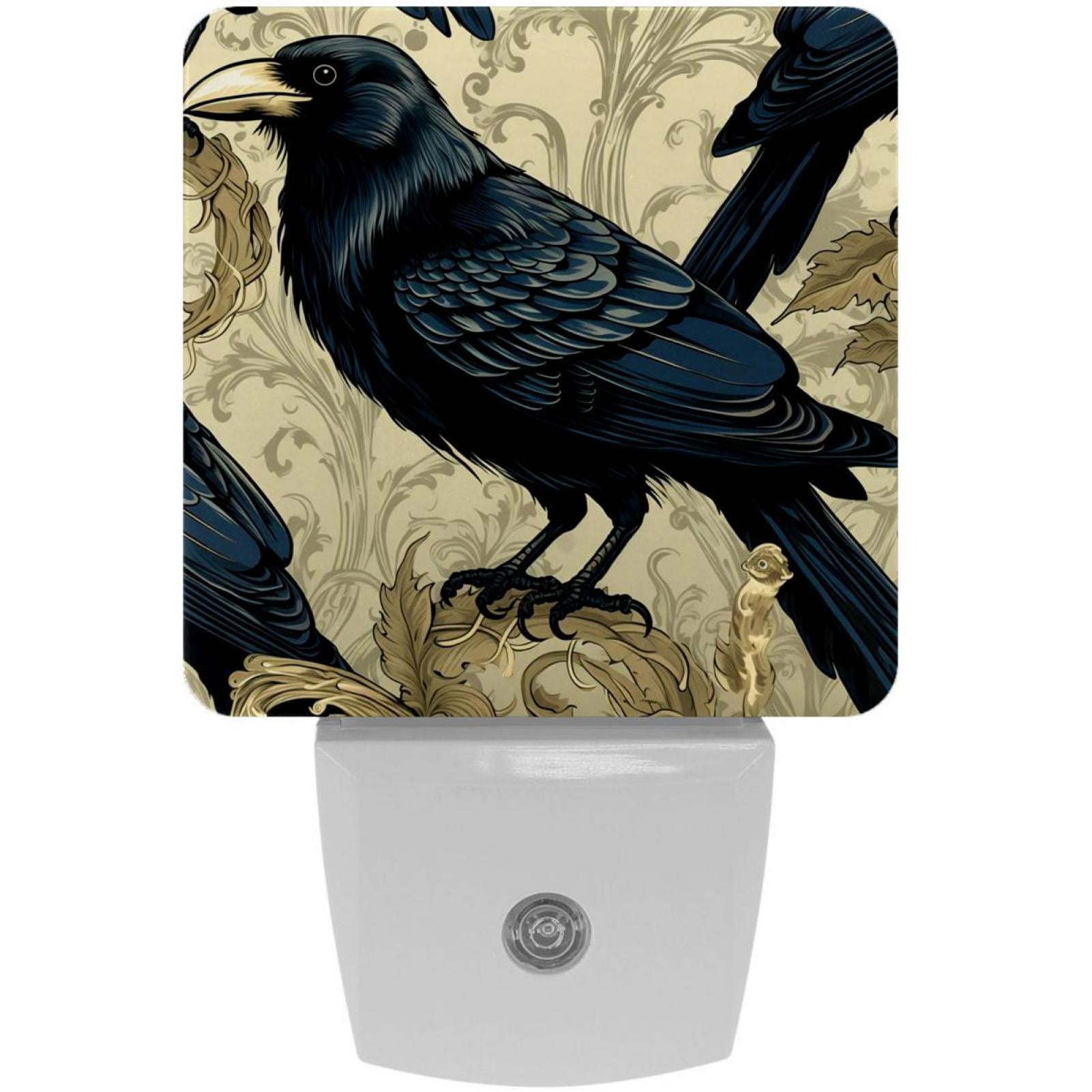 Crow LED Square Night Lights - Elegant and Energy Efficient Lighting ...