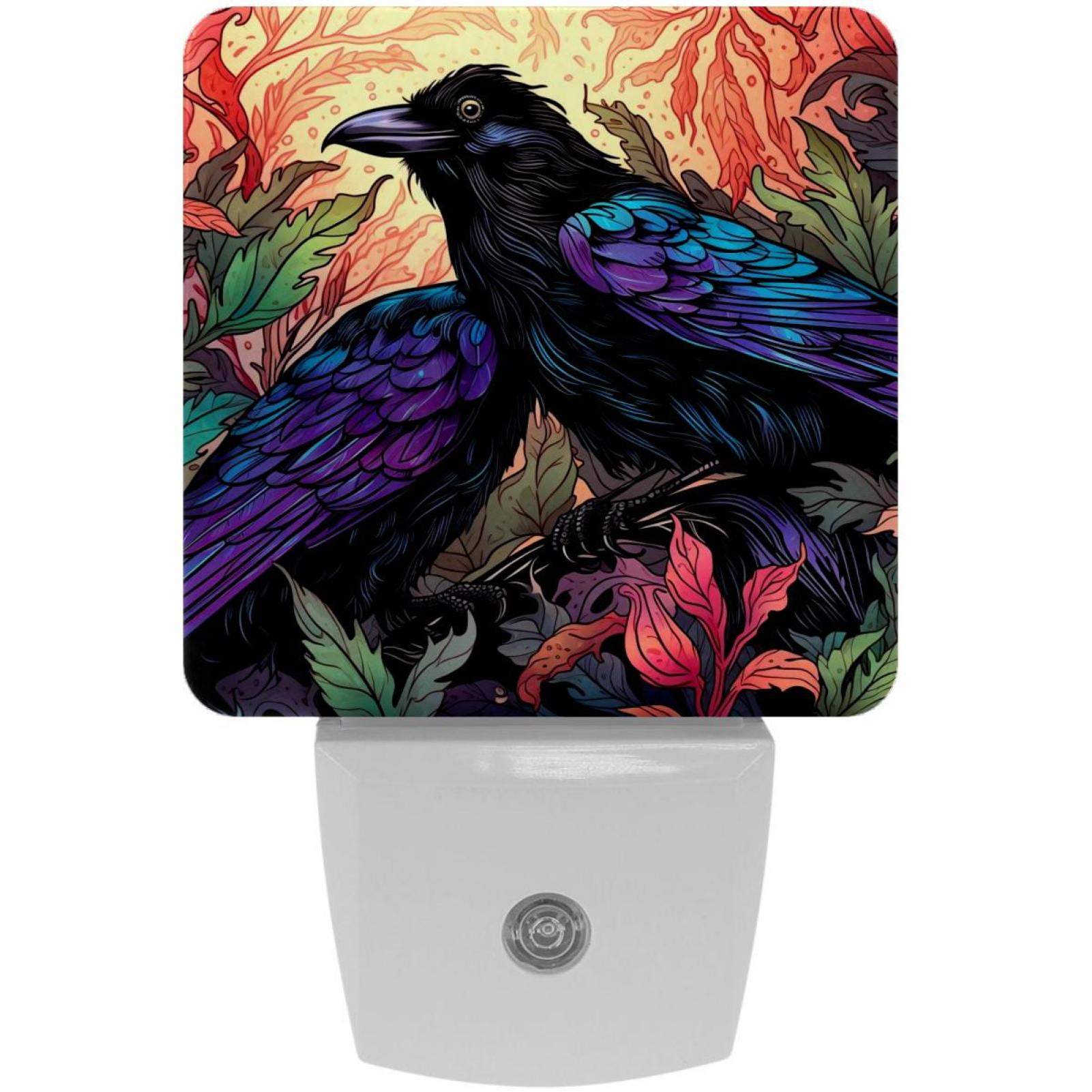 Crow LED Square Night Lights - Elegant and Energy Efficient Lighting ...