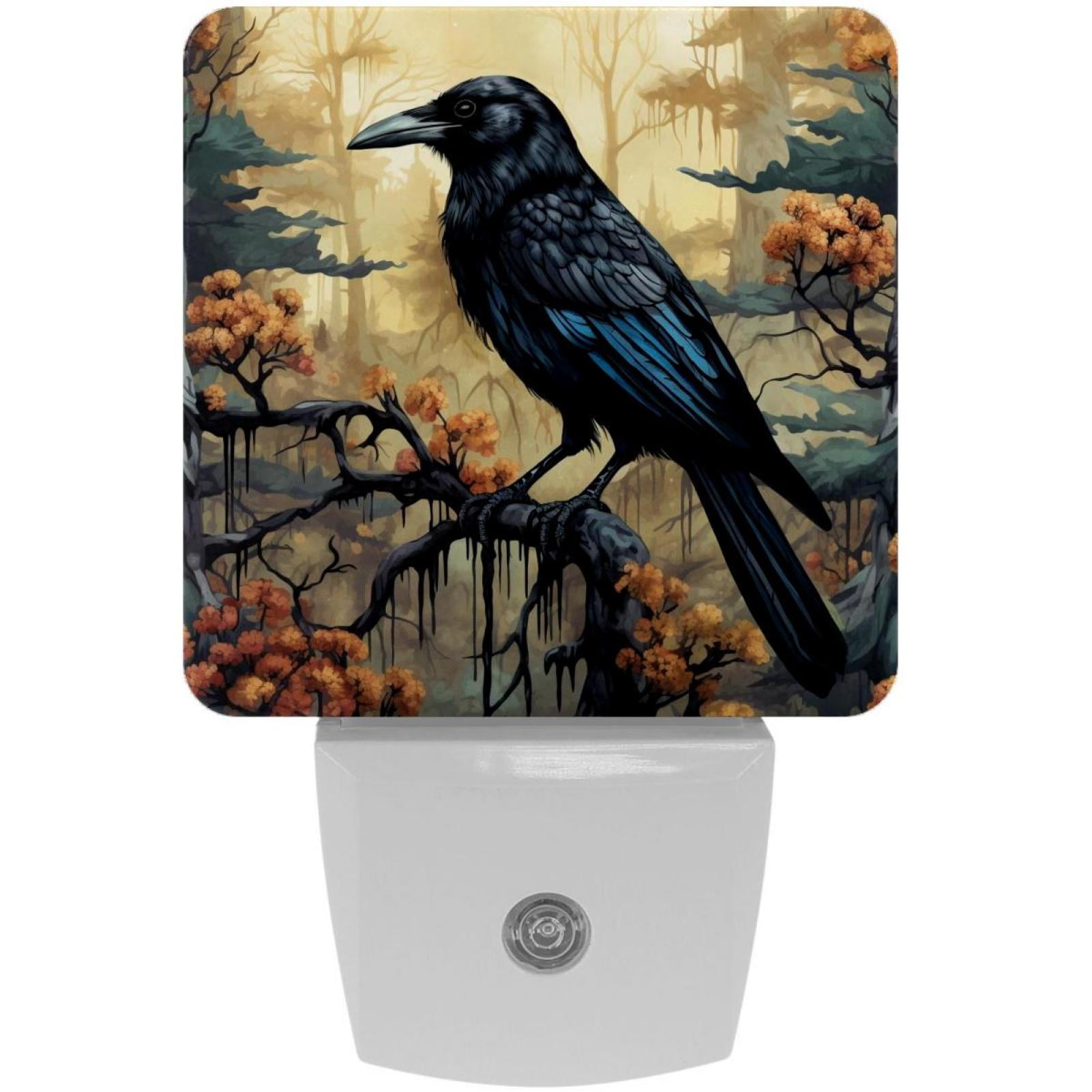 Crow LED Square Night Lights - Energy Efficient Bedside Lamp with Soft ...