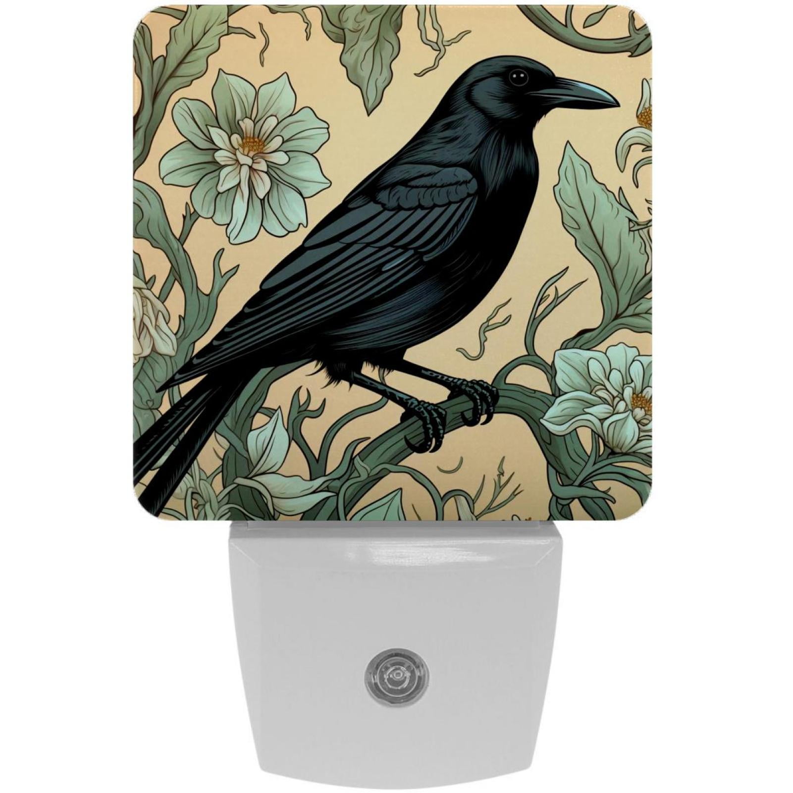 Crow LED Square Night Lights - Energy Efficient and Contemporary Design ...