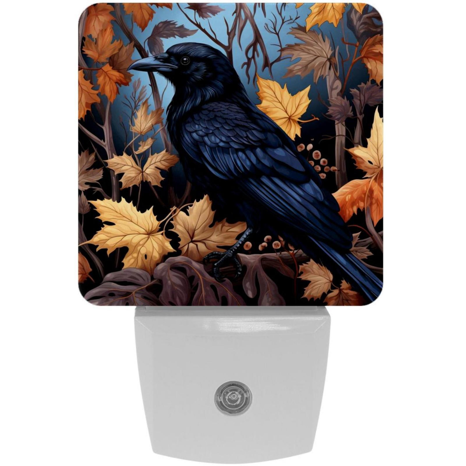 Crow LED Square Night Lights - Energy Efficient and Contemporary Design ...