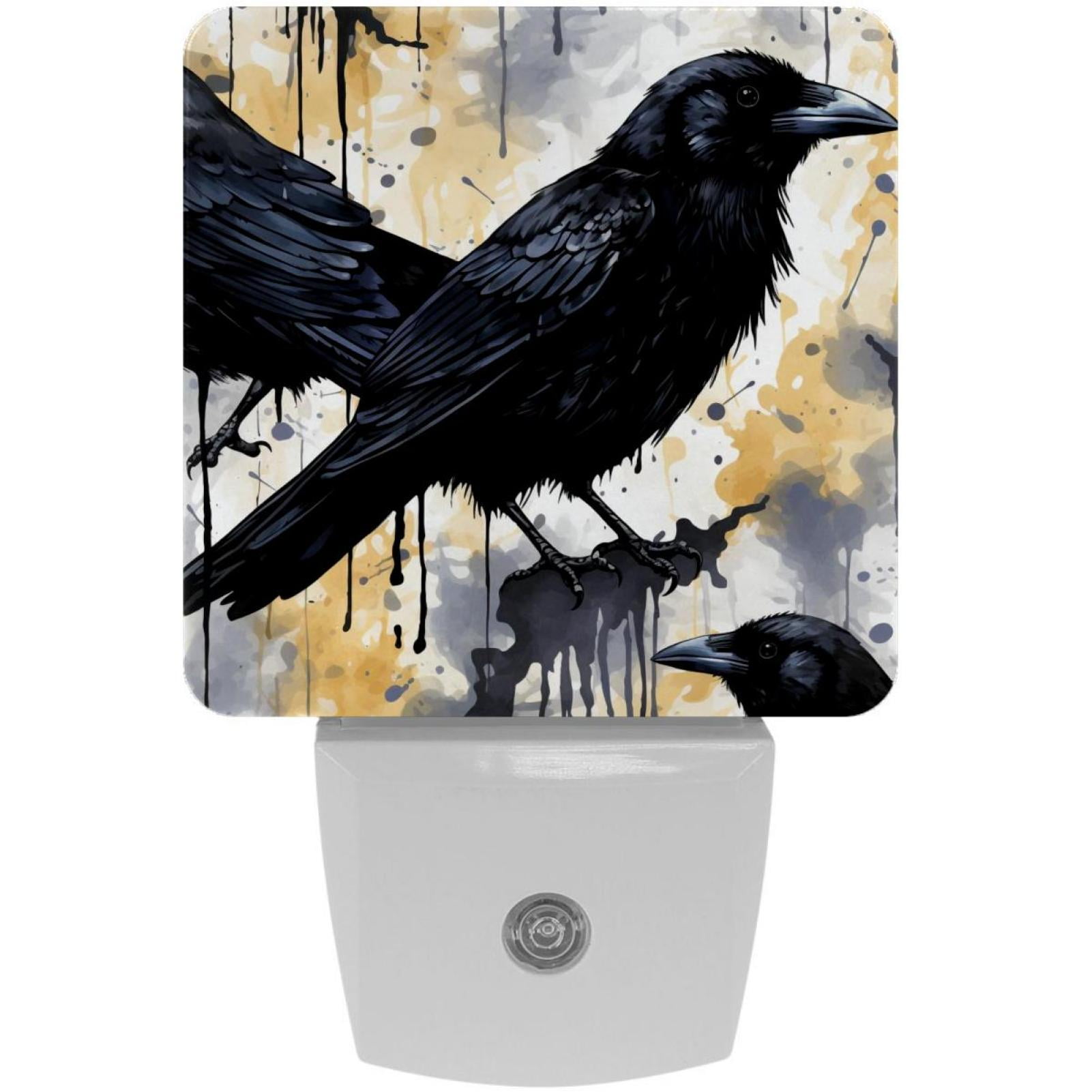Crow LED Square Night Lights - Energy Efficient and Contemporary Design ...